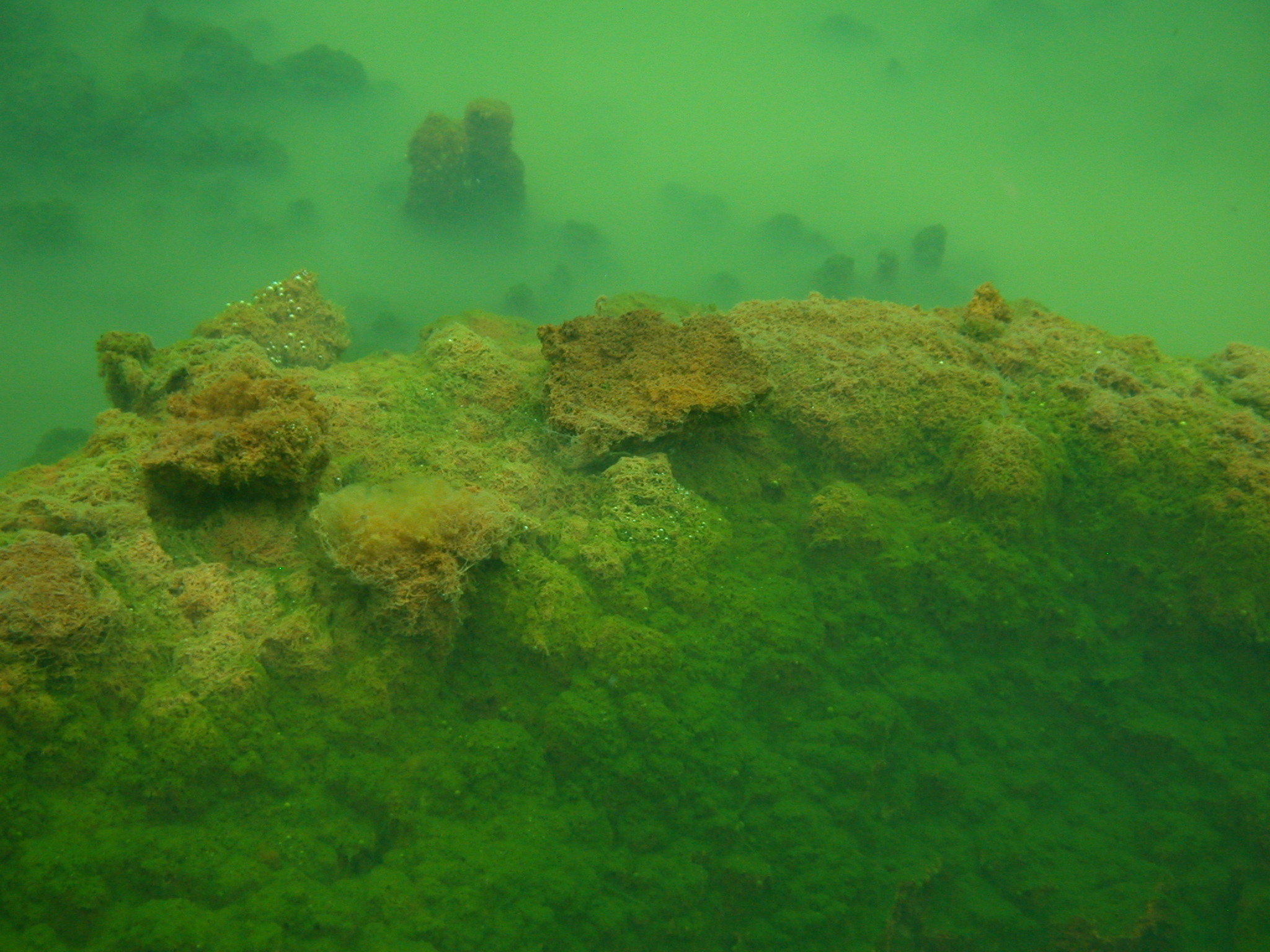 WG Lake Microbiology - Helmholtz-Centre for Environmental Research