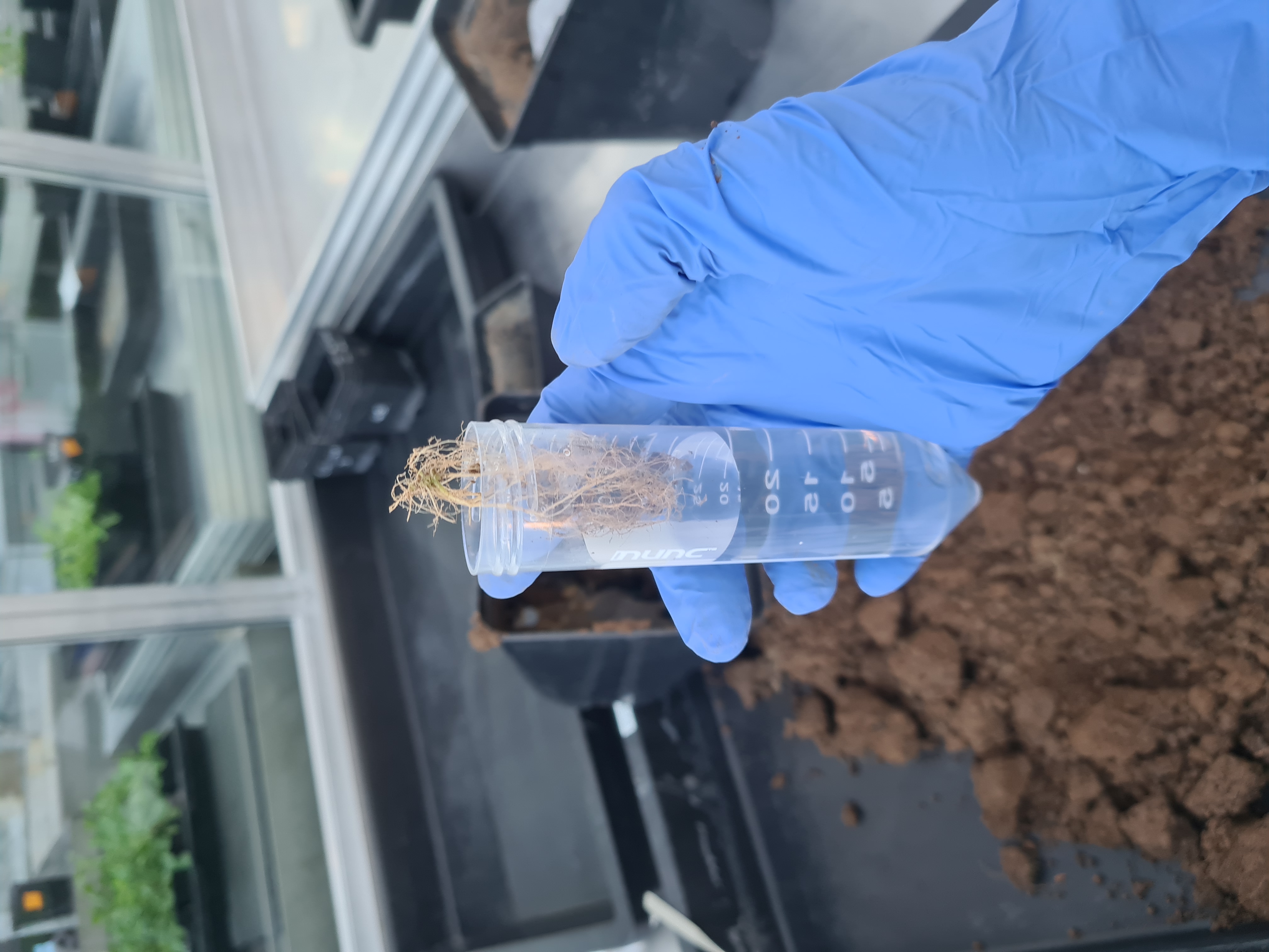 Plant Biogeochemistry - Helmholtz-Centre for Environmental Research