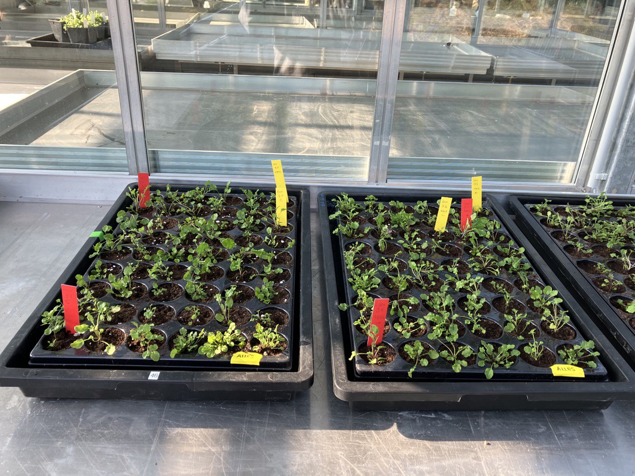 Carolina Vergara Cid - Helmholtz-Centre for Environmental Research