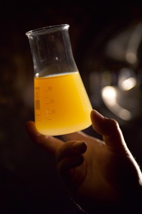Quali-Juice - Helmholtz-Zentrum für Umweltforschung UFZ