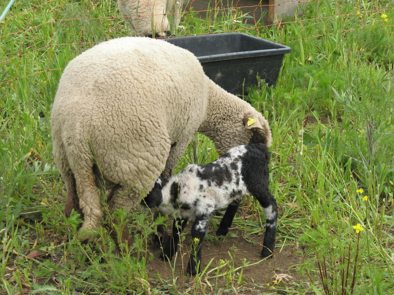 Pictures - Helmholtz-Centre for Environmental Research