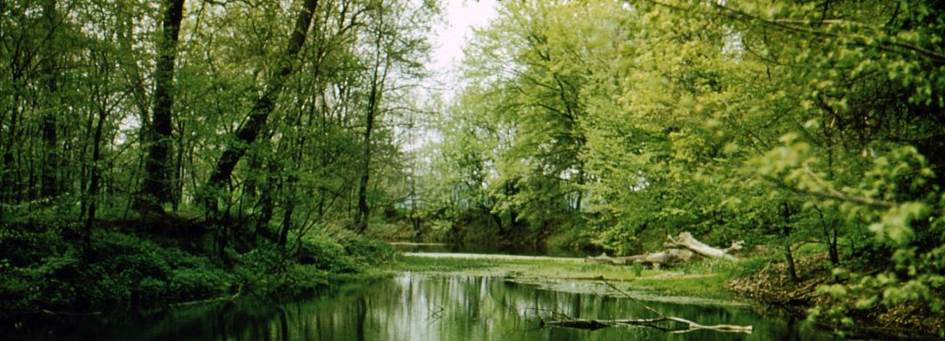 Excursion - EDA EMERGE