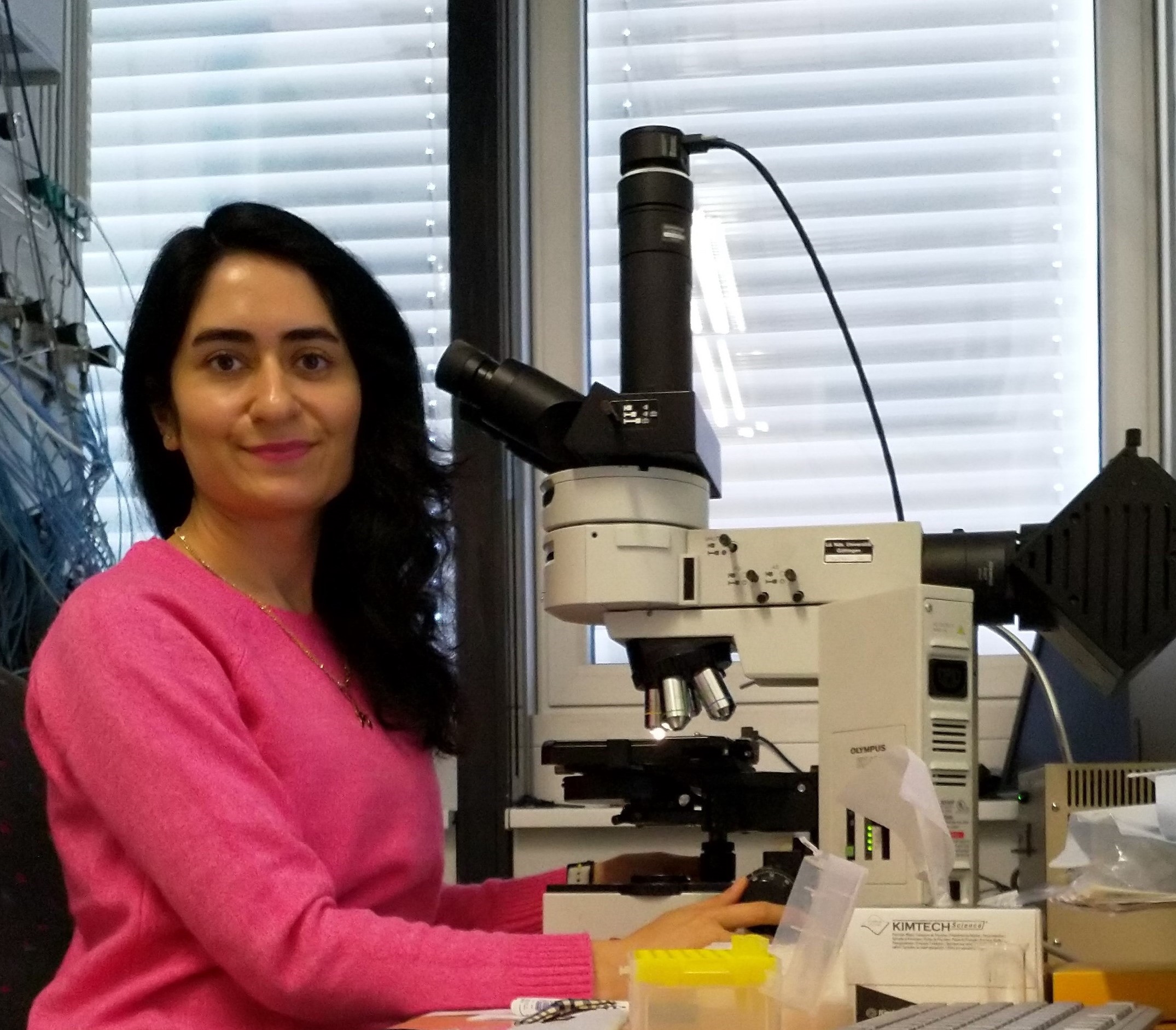P13 - Kinetics & Microzymography - Rhizosphere Spatiotemporal ...