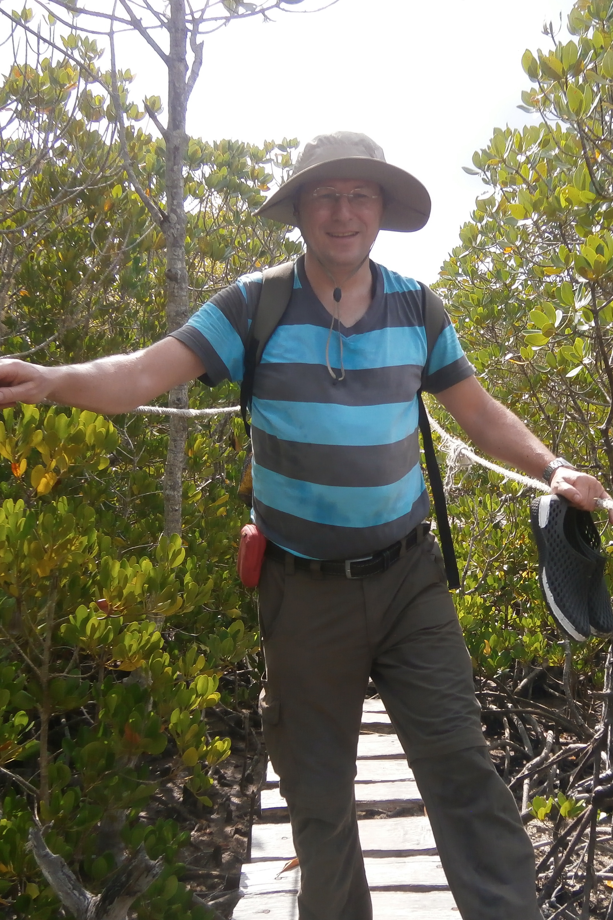 Brandenburg und Berlin - Tagfalter-Monitoring